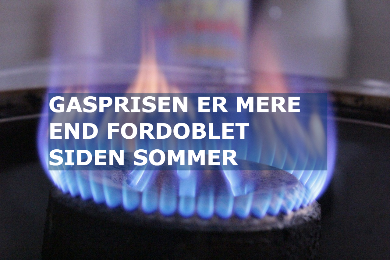 Gaspriser og fremtidige gasleverancer i vinter - EnergiNyheder.dk